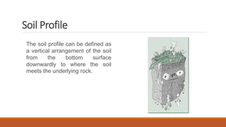 Soil profile & horizonation | PPTX