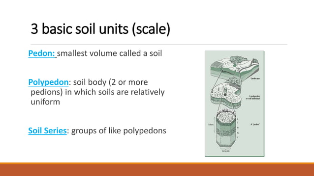 Soil profile & horizonation | PPTX | Geology | Science