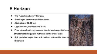 Soil profile & horizonation | PPTX