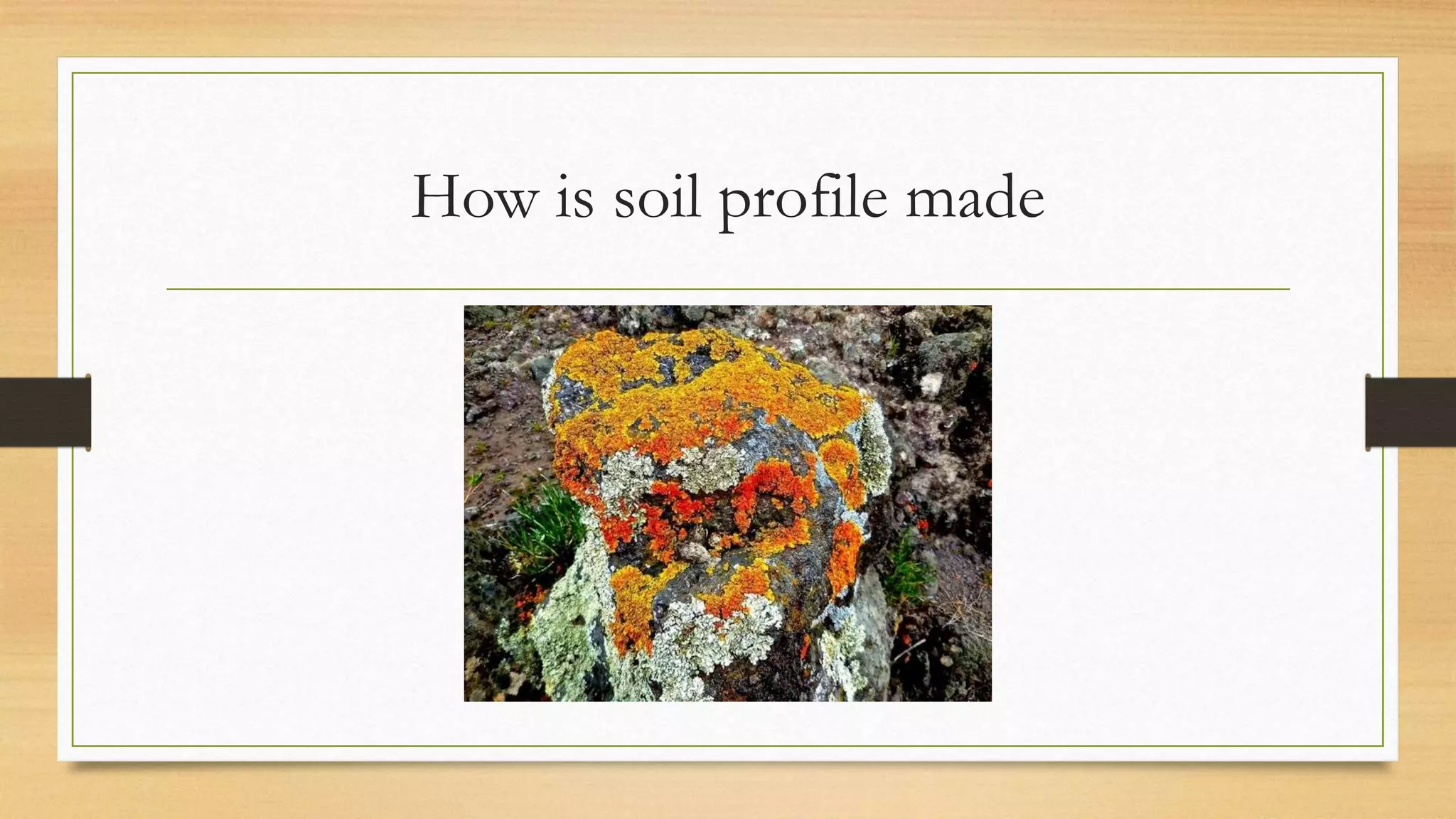 Soil profile | PPTX | Geology | Science