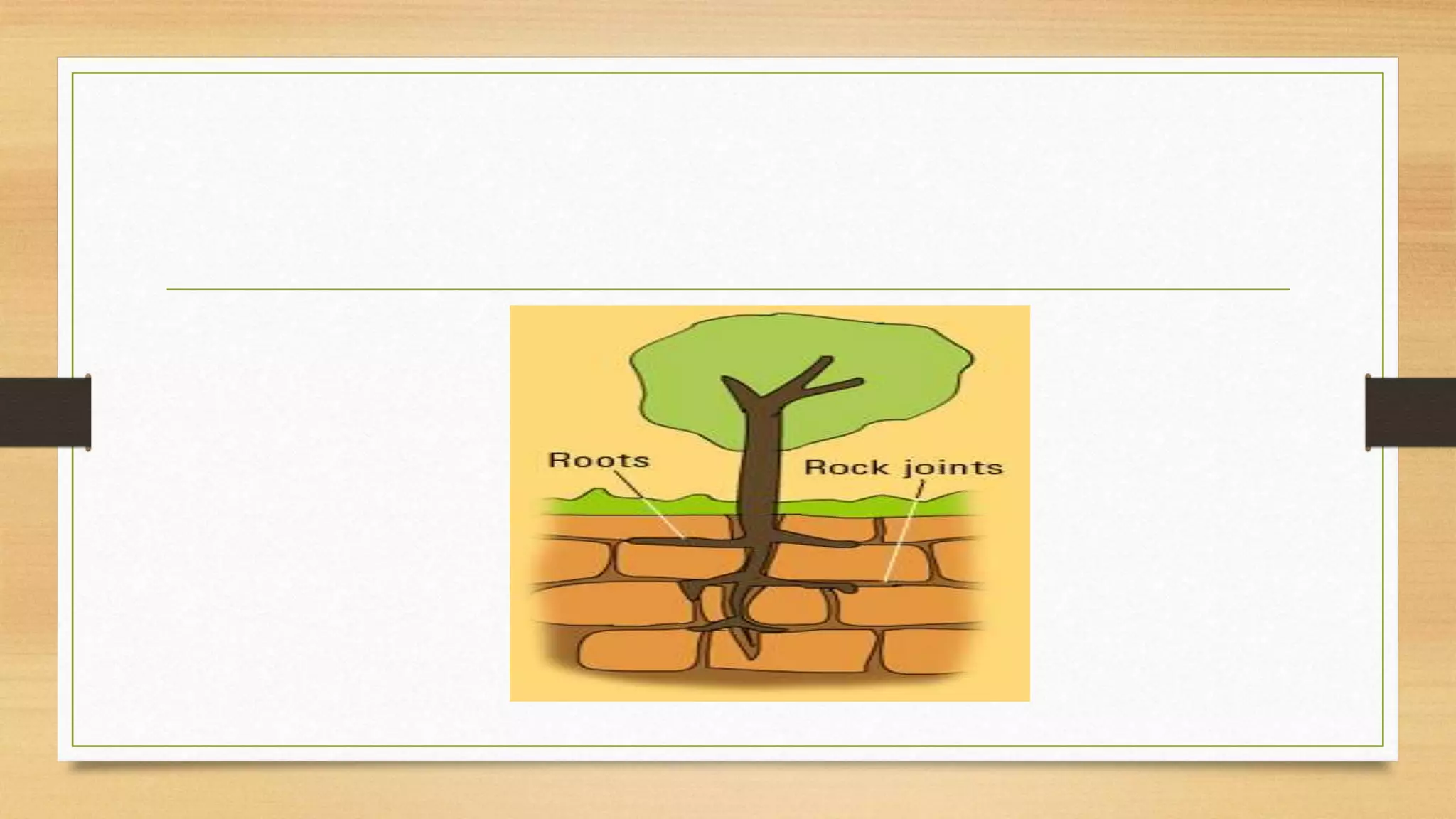 Soil profile | PPTX | Geology | Science