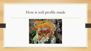 Soil profile | PPTX | Geology | Science