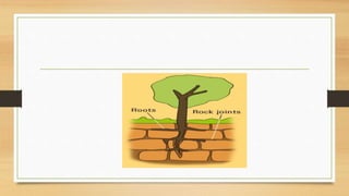 Soil profile | PPTX | Geology | Science
