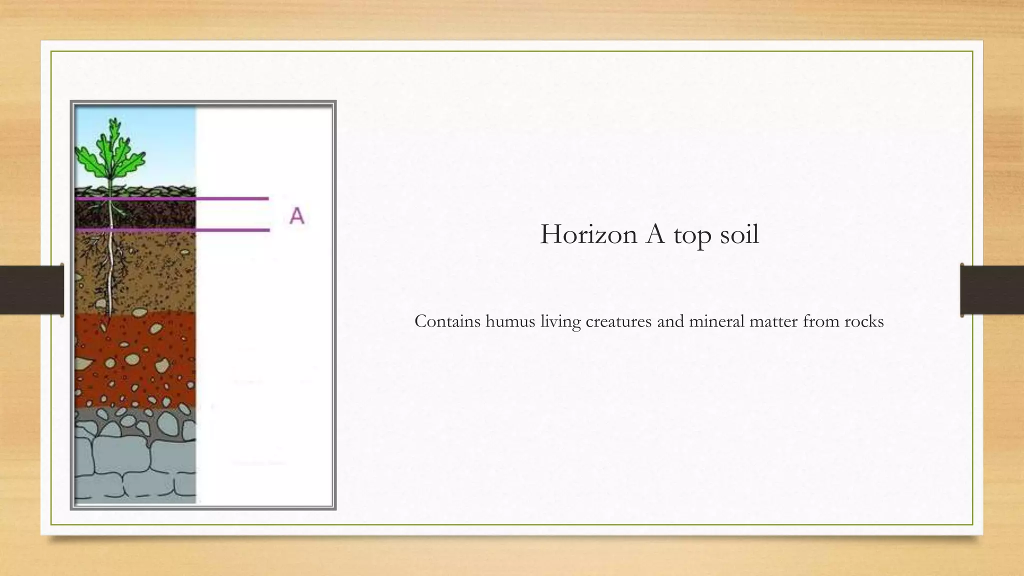 Soil profile | PPTX