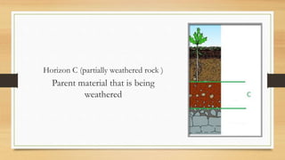Soil profile | PPTX