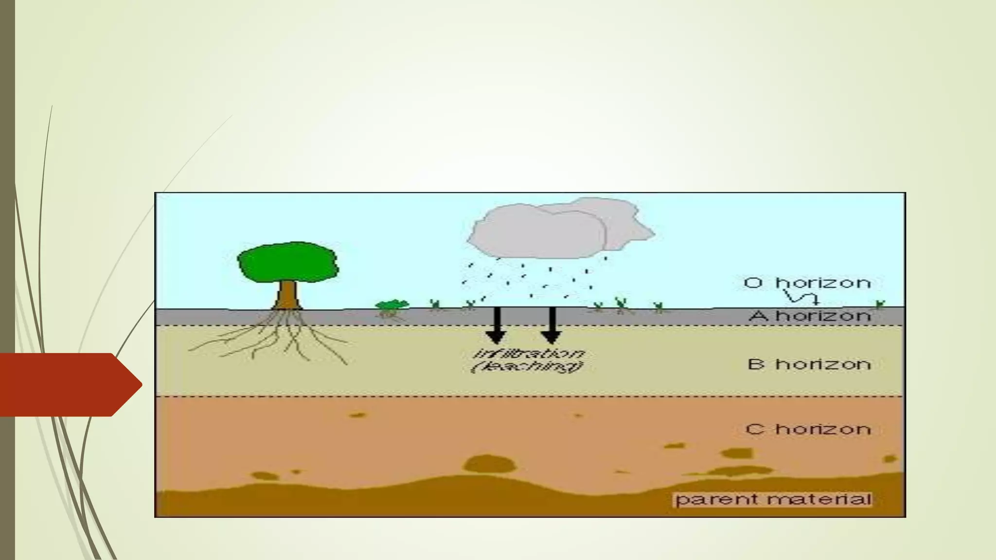 Study Soil profile ppt | PPTX