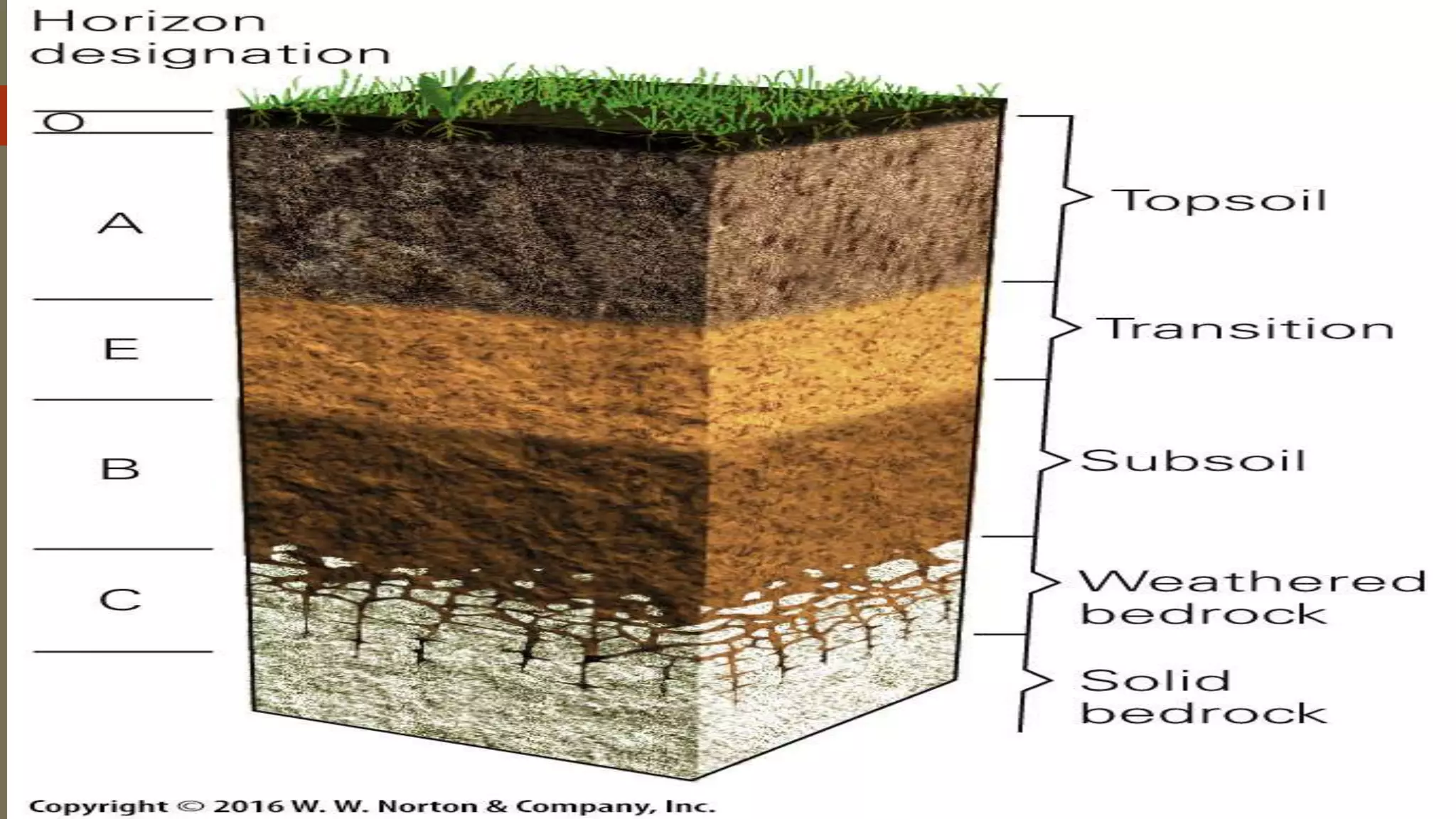 Study Soil profile ppt | PPTX