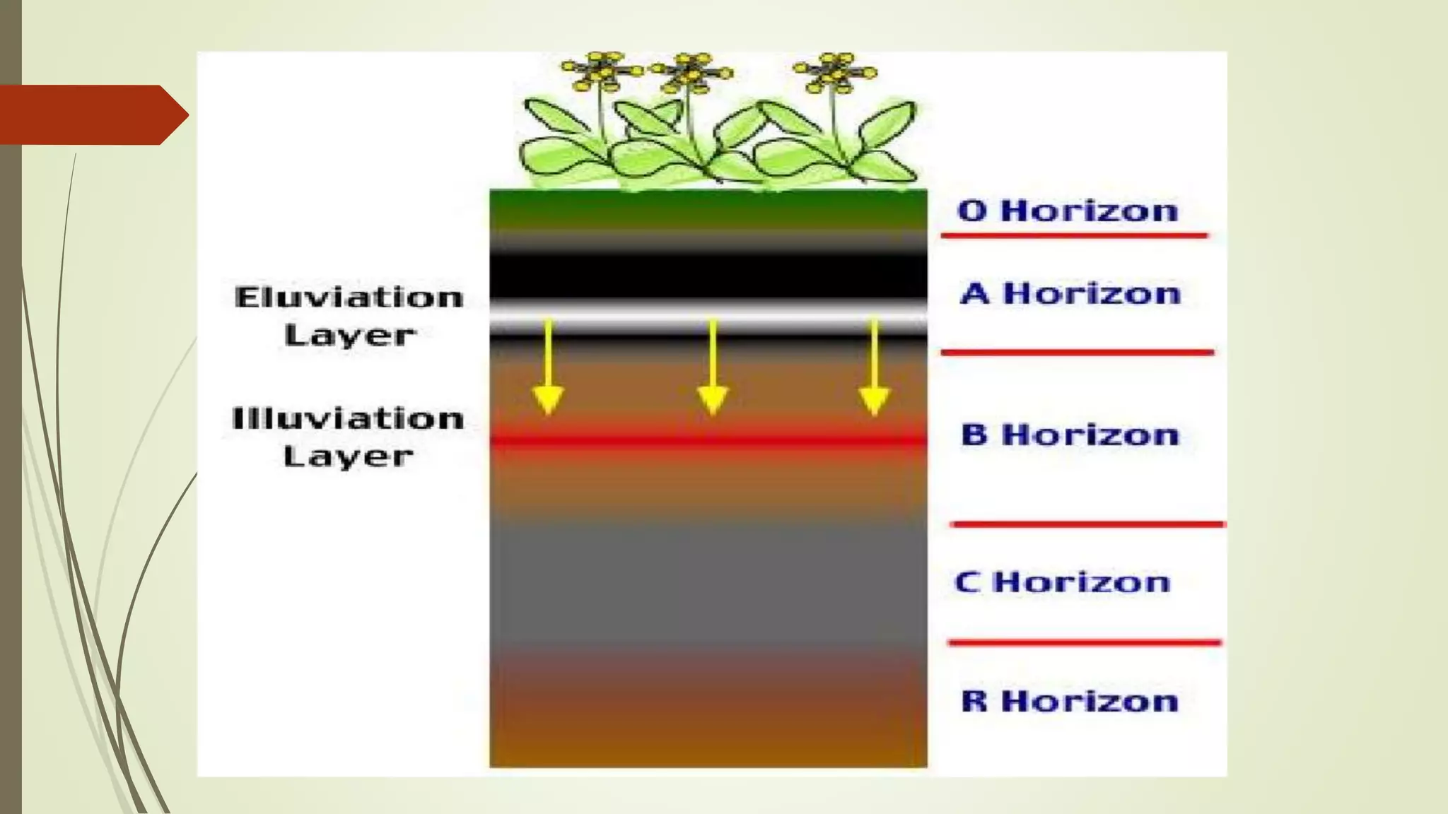Study Soil profile ppt | PPTX