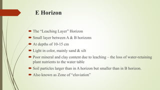Study Soil profile ppt | PPTX