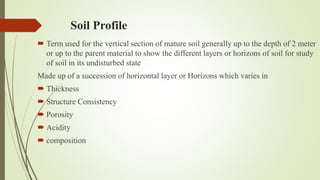 Study Soil profile ppt | PPTX