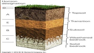 Study Soil profile ppt | PPTX