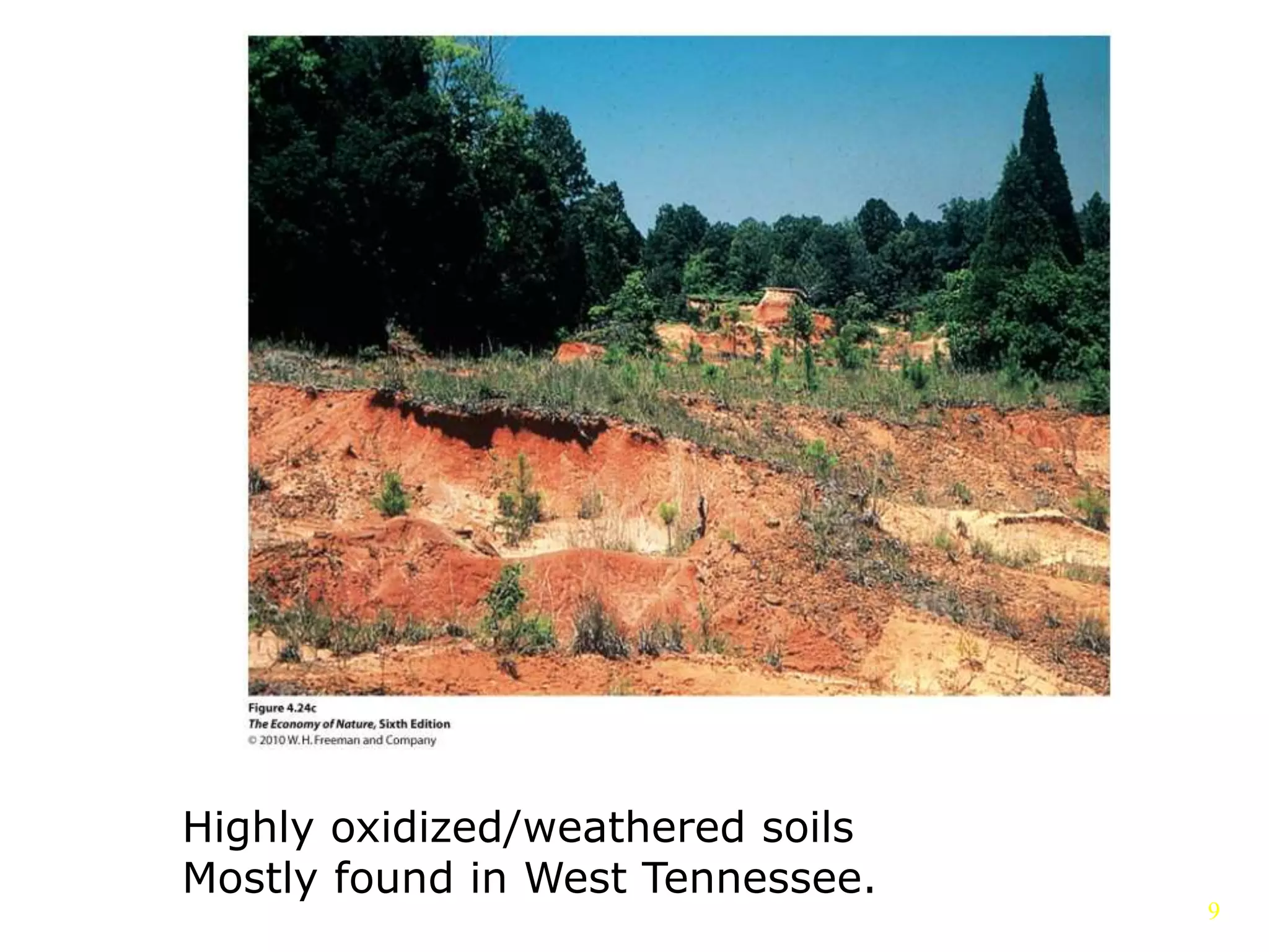 Soil Profiles/Soil Horizons.ppt