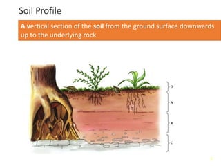 Soil Profiles/Soil Horizons.ppt