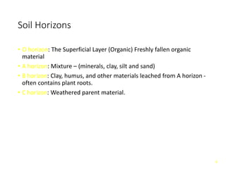 Soil Profiles/Soil Horizons.ppt