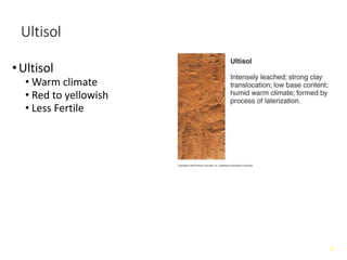 Soil Profiles/Soil Horizons.ppt