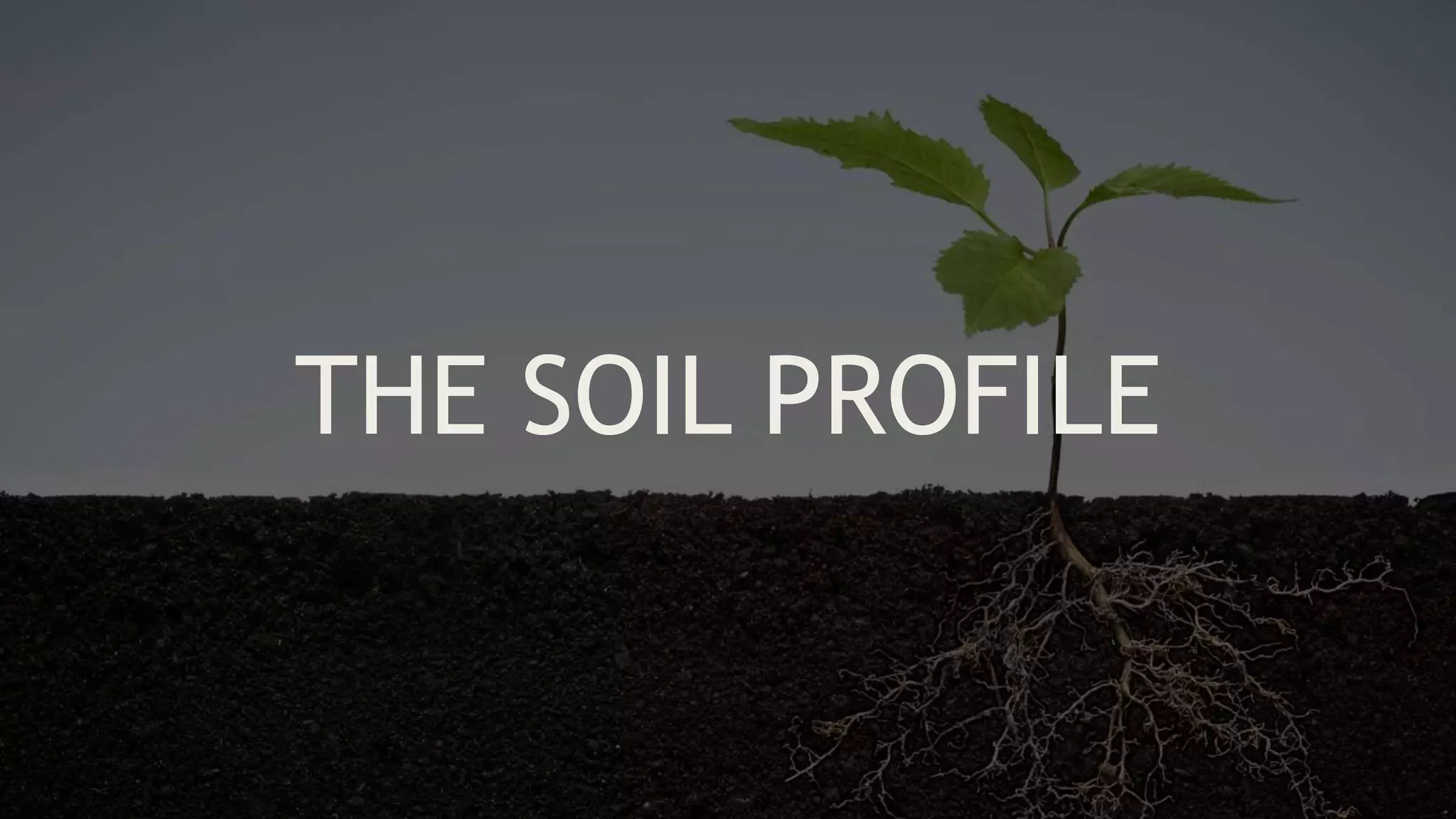 SOIL PROFILE, SOIL TEXTURE AND STRUCTURE.pptx