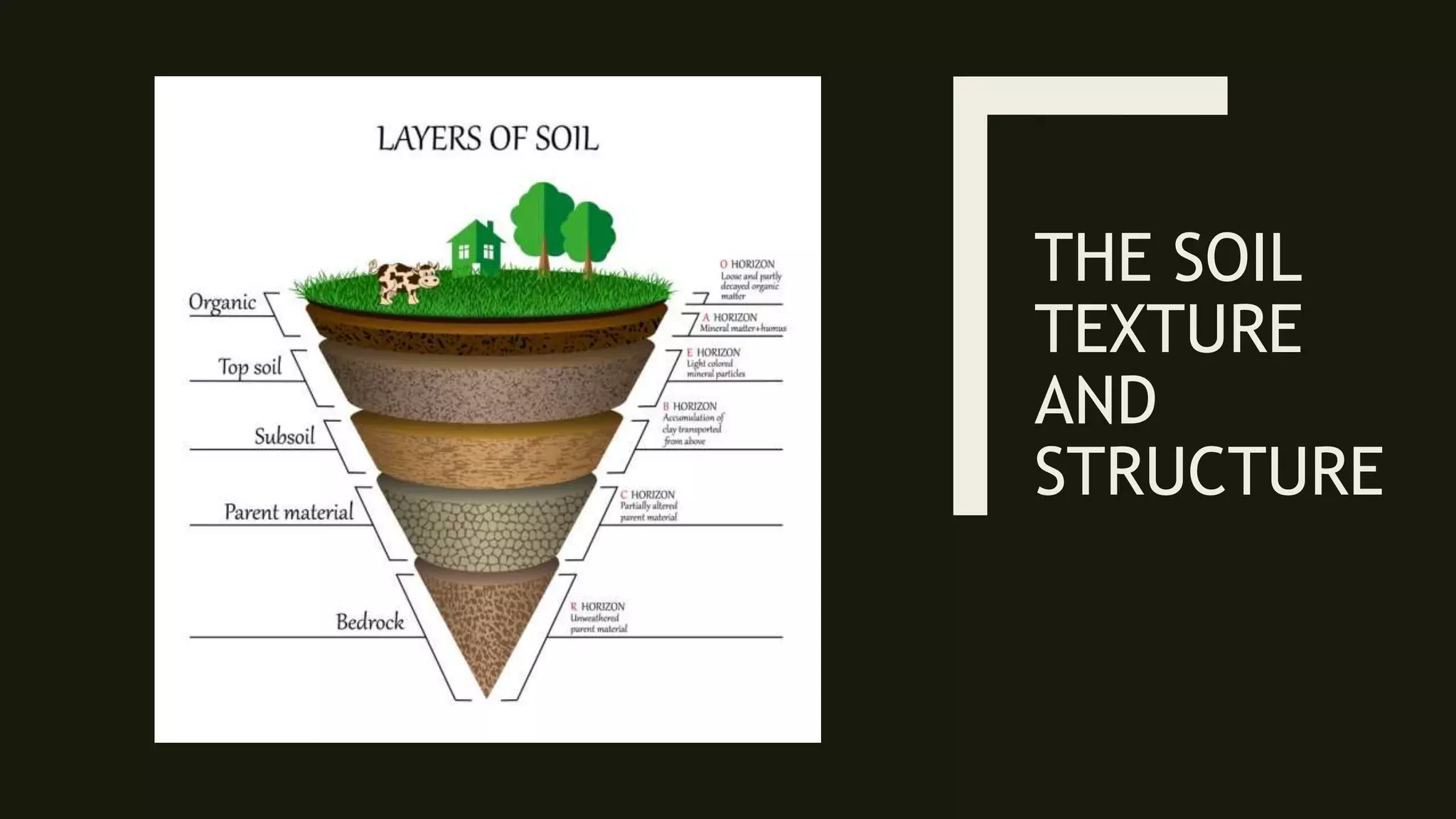 SOIL PROFILE, SOIL TEXTURE AND STRUCTURE.pptx