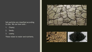SOIL PROFILE, SOIL TEXTURE AND STRUCTURE.pptx