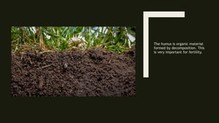 SOIL PROFILE, SOIL TEXTURE AND STRUCTURE.pptx