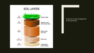 SOIL PROFILE, SOIL TEXTURE AND STRUCTURE.pptx
