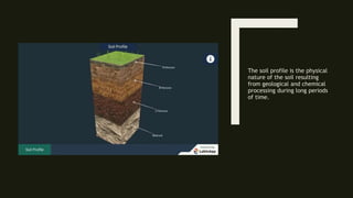 SOIL PROFILE, SOIL TEXTURE AND STRUCTURE.pptx