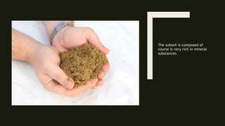 SOIL PROFILE, SOIL TEXTURE AND STRUCTURE.pptx