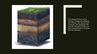 SOIL PROFILE, SOIL TEXTURE AND STRUCTURE.pptx
