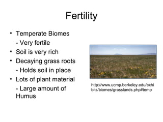 Soil project | PPT | Geography | Science