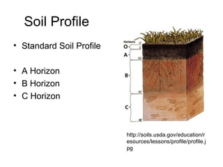 Soil project | PPT