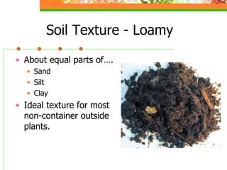 Soil properties | PPTX