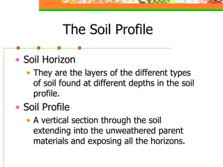 Soil properties | PPTX