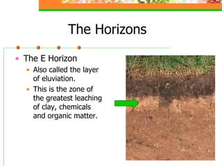 Soil properties | PPTX