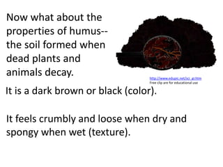 Soil properties Gr. 6 | PPTX