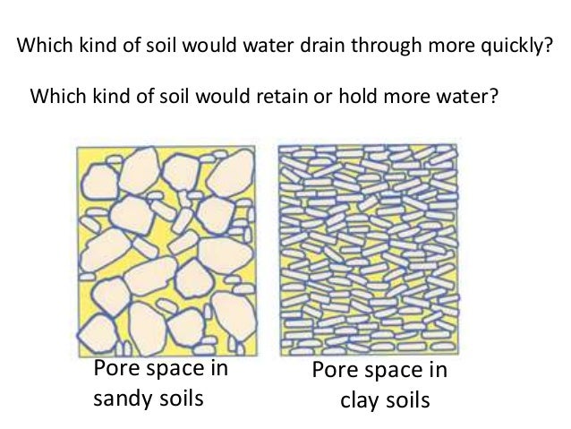Sandy Clay Soil Properties