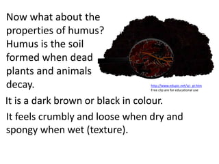 Soil properties Gr. 6 - 2018 | PPTX | Gardening | Home & Garden
