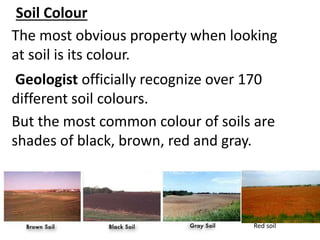 Soil properties Gr. 6 - 2018 | PPTX