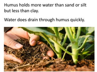 Soil properties gr. 6 2019 | PPTX