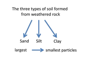 Soil properties gr. 6 2019 | PPTX