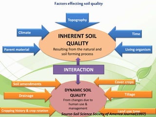 Soil quality | PPTX