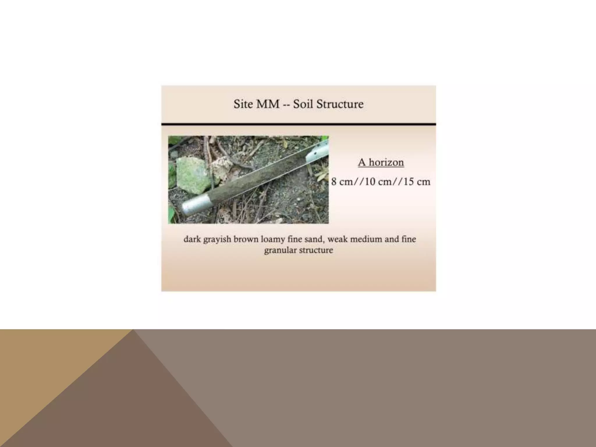 Soil quality indicators A Lecture By Mr Allah Dad Khan Visiting ...