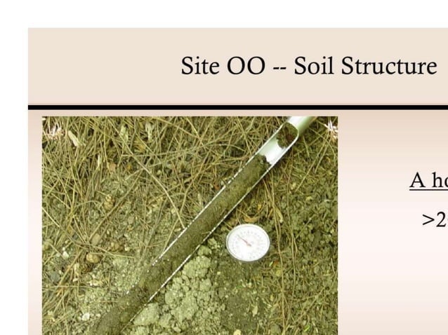 Soil quality indicators A Lecture By Mr Allah Dad Khan Visiting ...