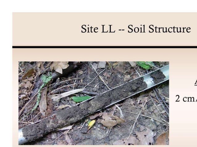 Soil quality indicators A Lecture By Mr Allah Dad Khan Visiting ...