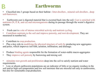 Soil quality parameters | PPTX