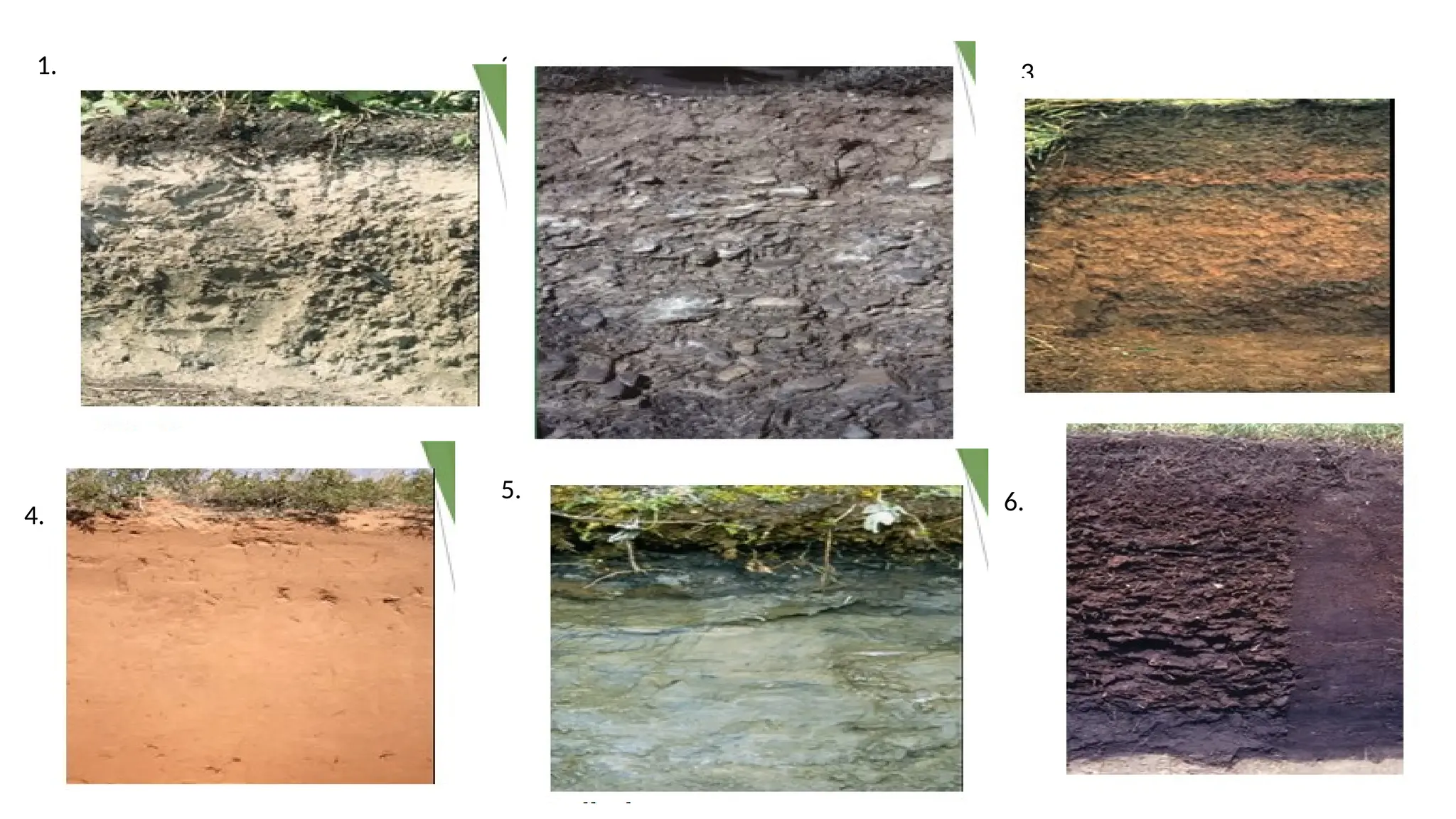 Soil Science quizzzzzzzzzzzzzzzzzzz.pptx