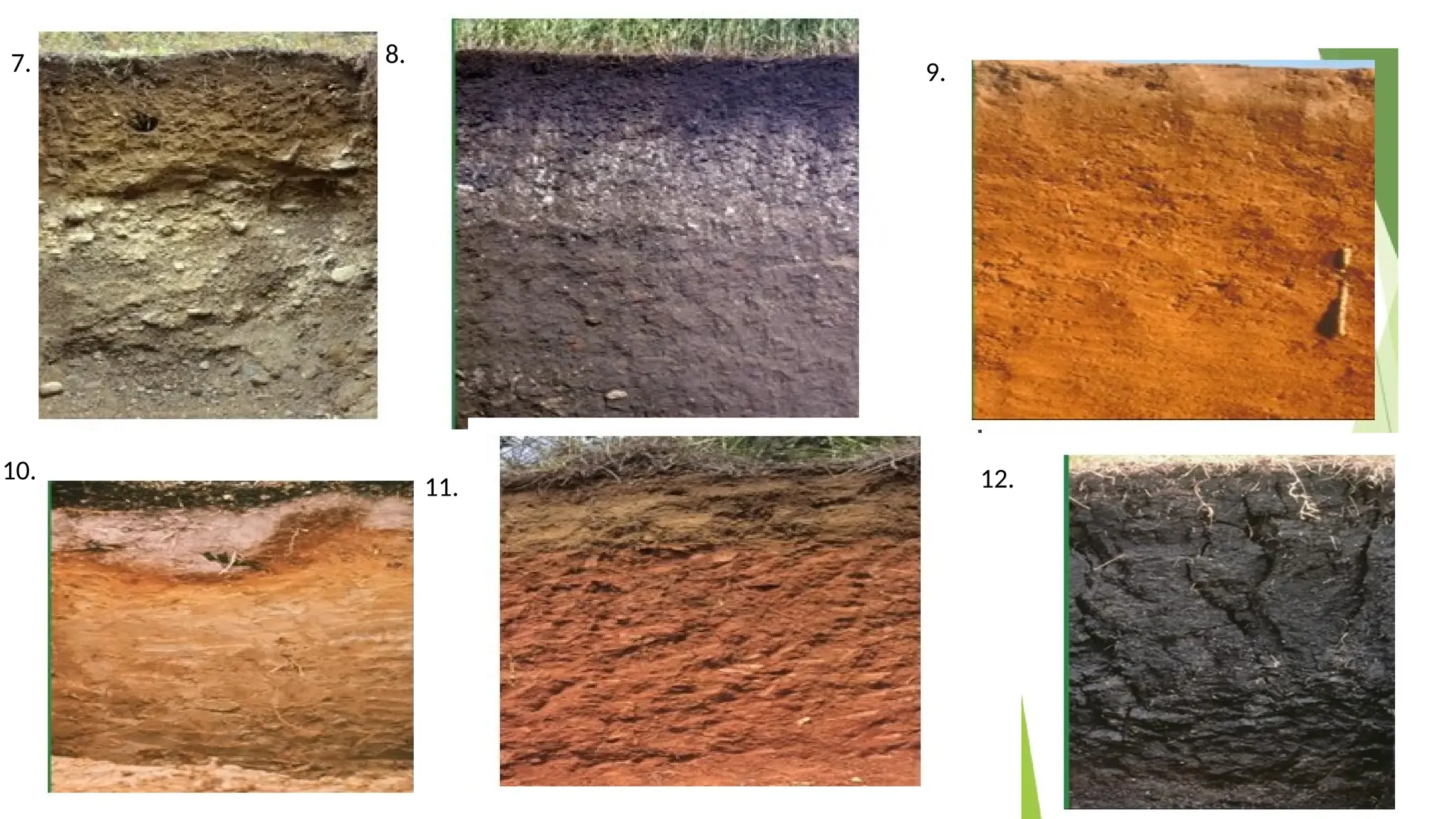 Soil Science quizzzzzzzzzzzzzzzzzzz.pptx