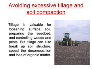 Soil remediation by biotechnology | PPTX