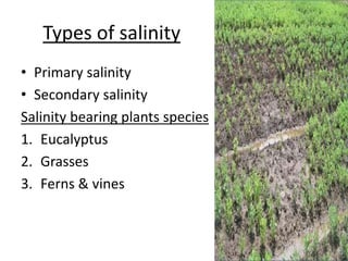 Soil remediation by biotechnology | PPTX