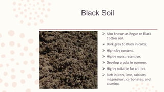 Soil resources: Components and Types | PPTX | Gardening | Home & Garden