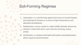 Soil resources: Components and Types | PPTX | Gardening | Home & Garden