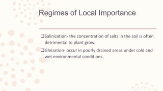Soil resources: Components and Types | PPTX | Gardening | Home & Garden